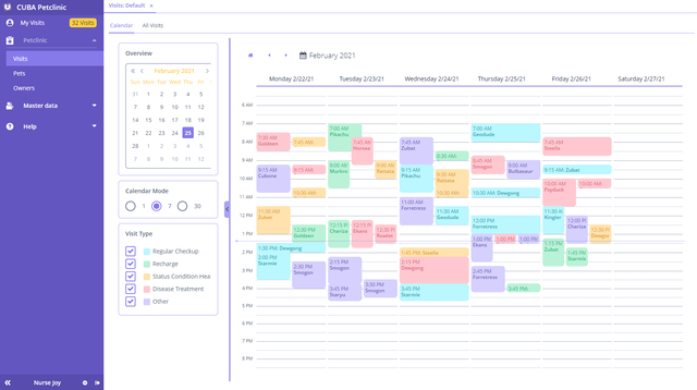 Meet the CUBA Platform: an Open Source Java RAD Framework – Jmix