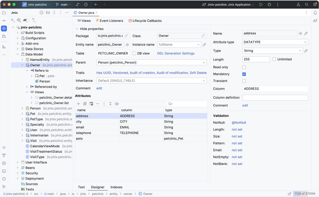 Web Application Development Tools | Download Jmix Studio
